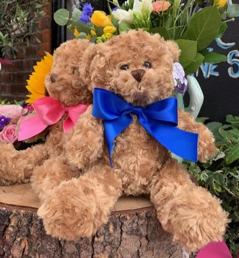 Cuddles Teddy Bear – Devine Flowers